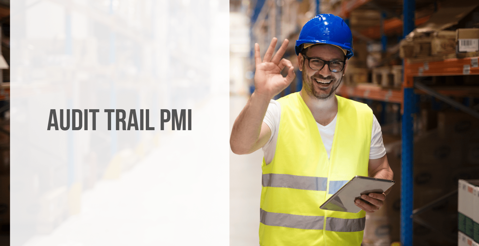 Tutoriel : Module Audit Trail PMI - myFAB